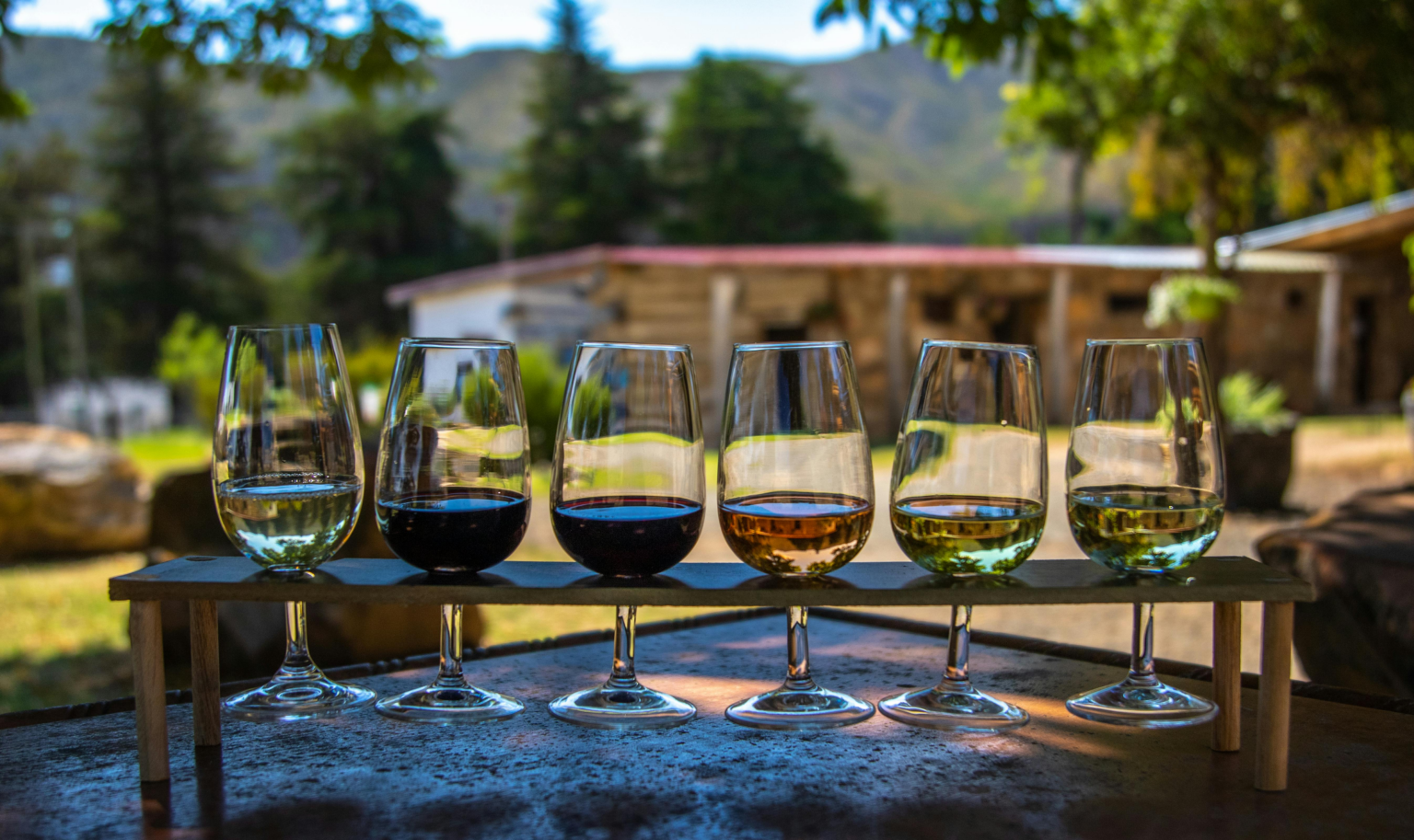 5 Best Wineries and Vineyards in Nashik For a High-Spirited Experience ...