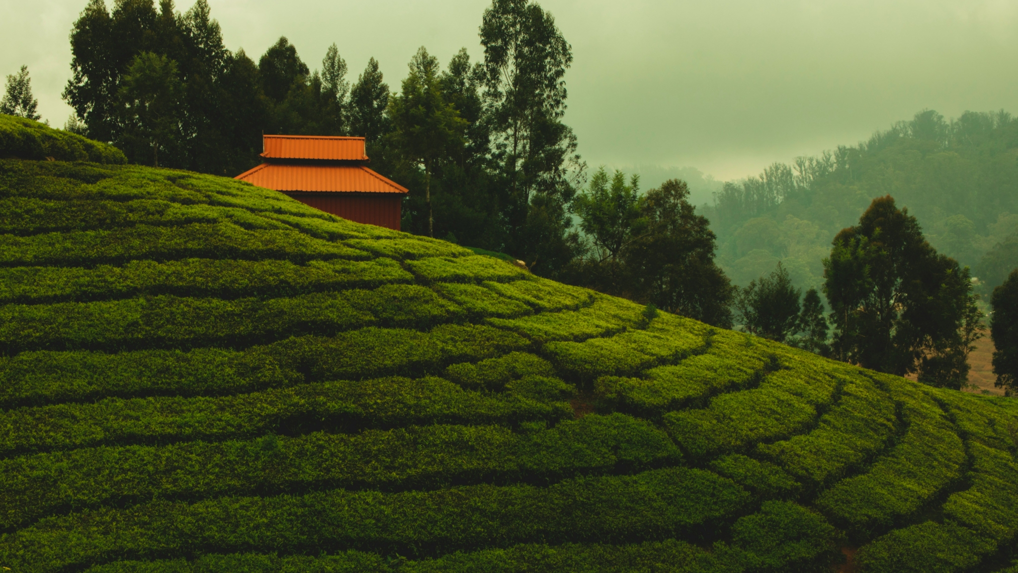 Best Time to Visit Ooty - StayVista Journal