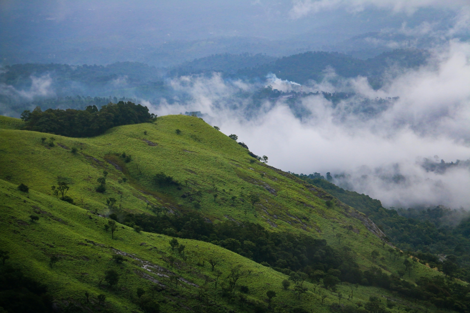 Ultimate Guide On Wayanad in Monsoon | Wayanad Trip Plan