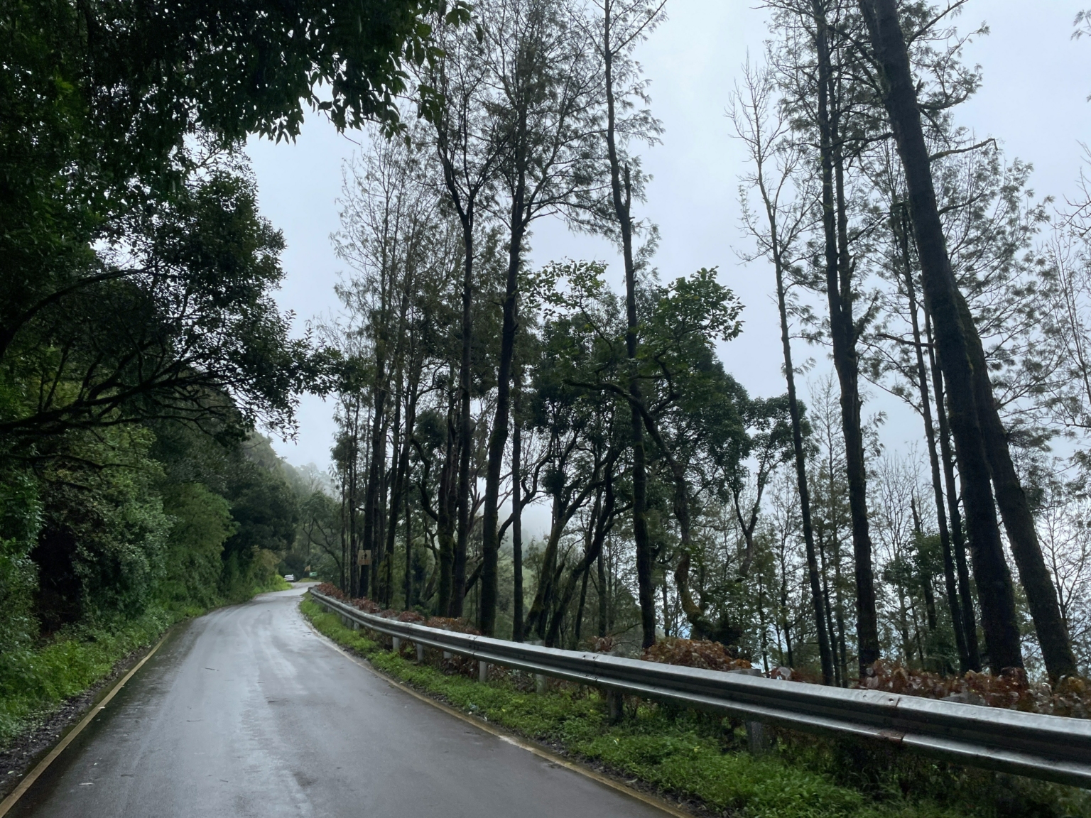 The Ultimate Monsoon Road Trip: Bangalore to Coorg via Mysore