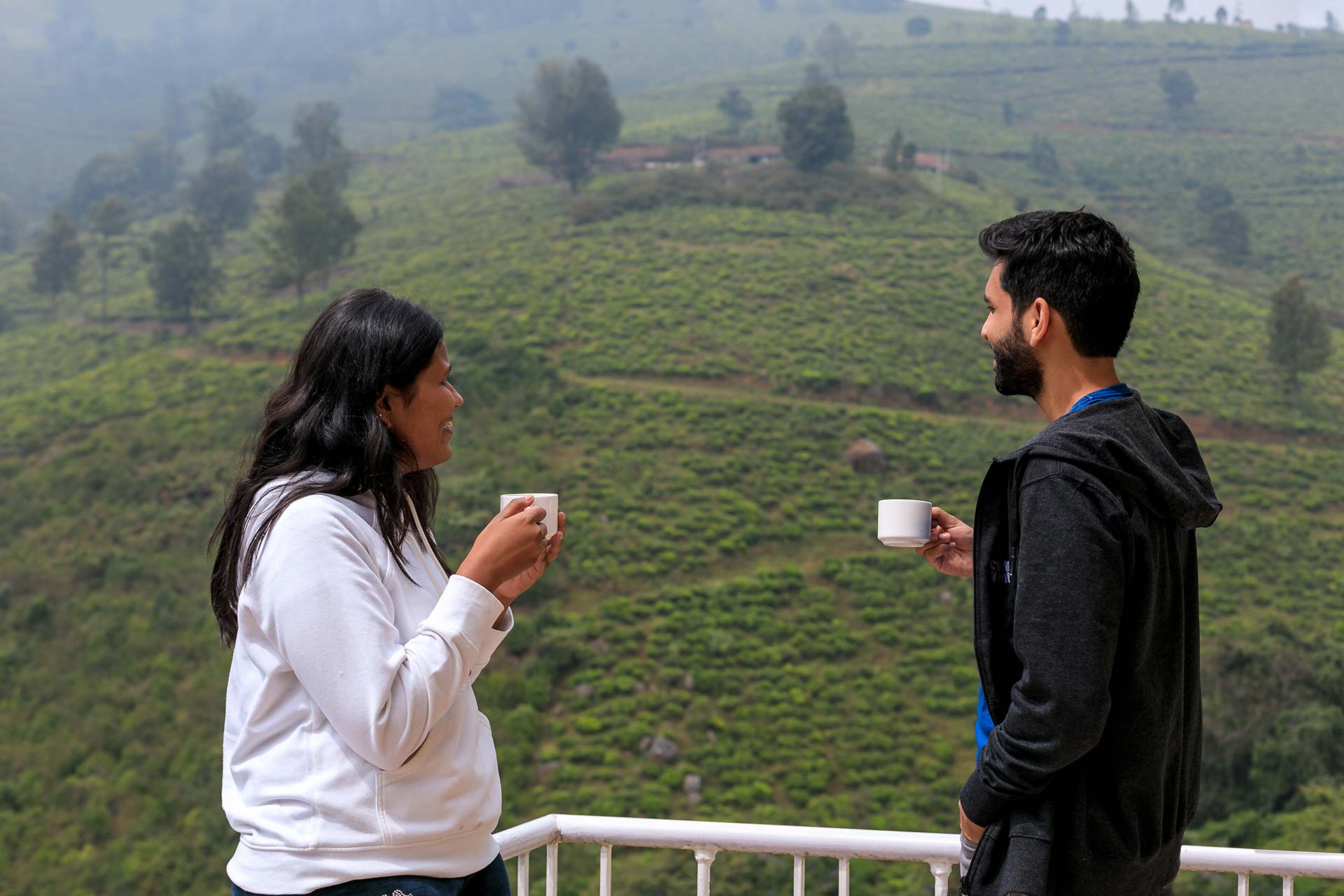 Tea Estates in Coonoor: Guide To Stays In Ooty & Coonoor 2024