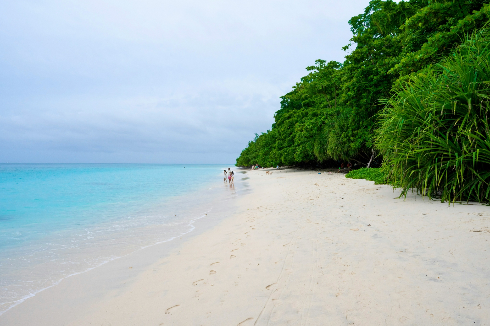 From Radhanagar To Elephant: Explore The Top Beaches In Havelock Island ...