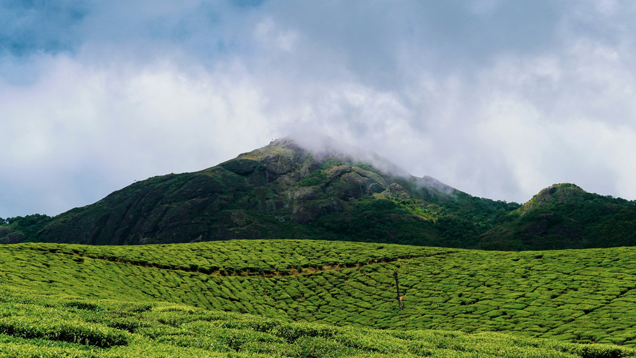 Tea Plantations and Hiking in Munnar - A Complete Guide
