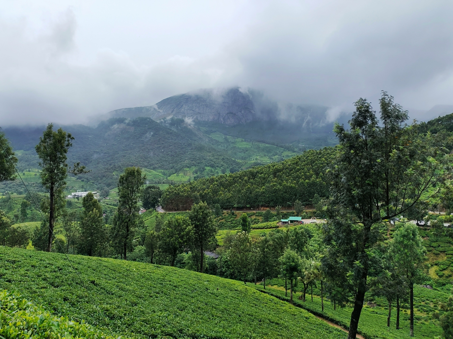 Tea Plantations and Hiking in Munnar - A Complete Guide