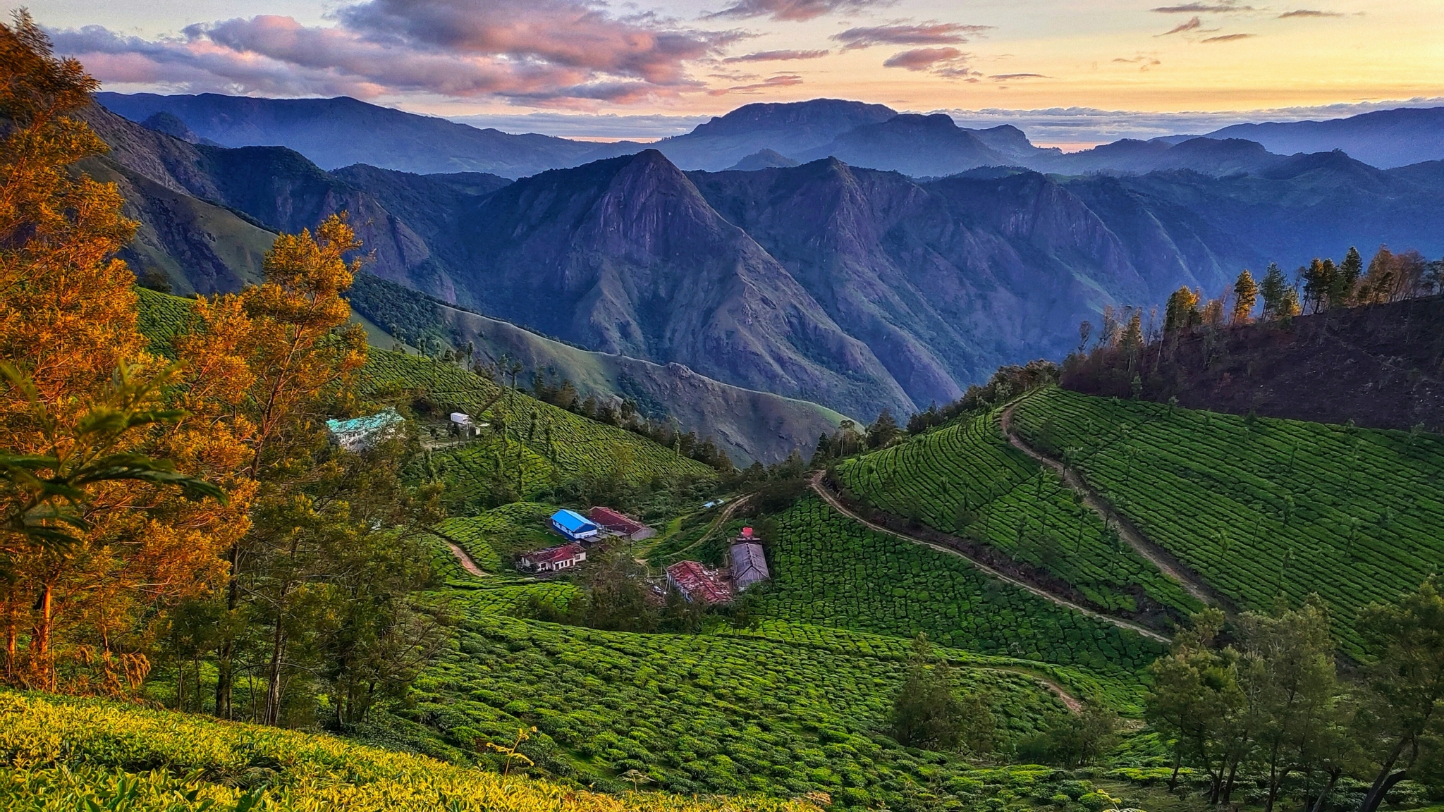 Tea Plantations and Hiking in Munnar - A Complete Guide