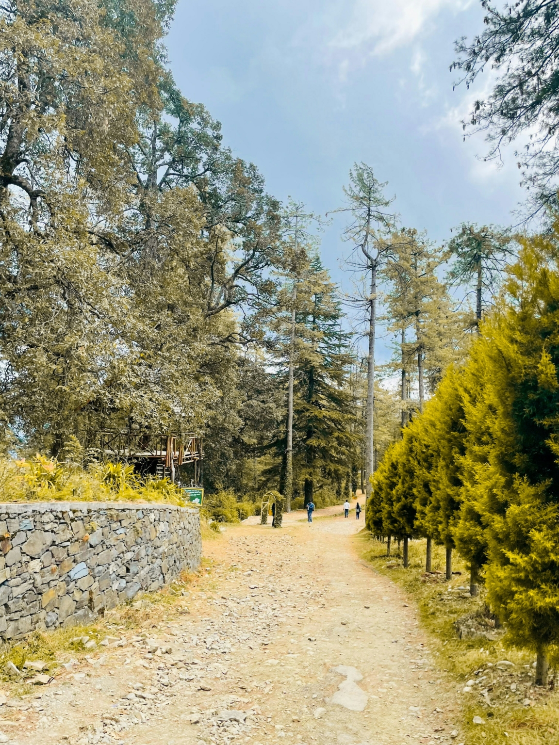 3-Day Shimla Itinerary in June & Day Trips to Mashobra, Kufri & Chail ...