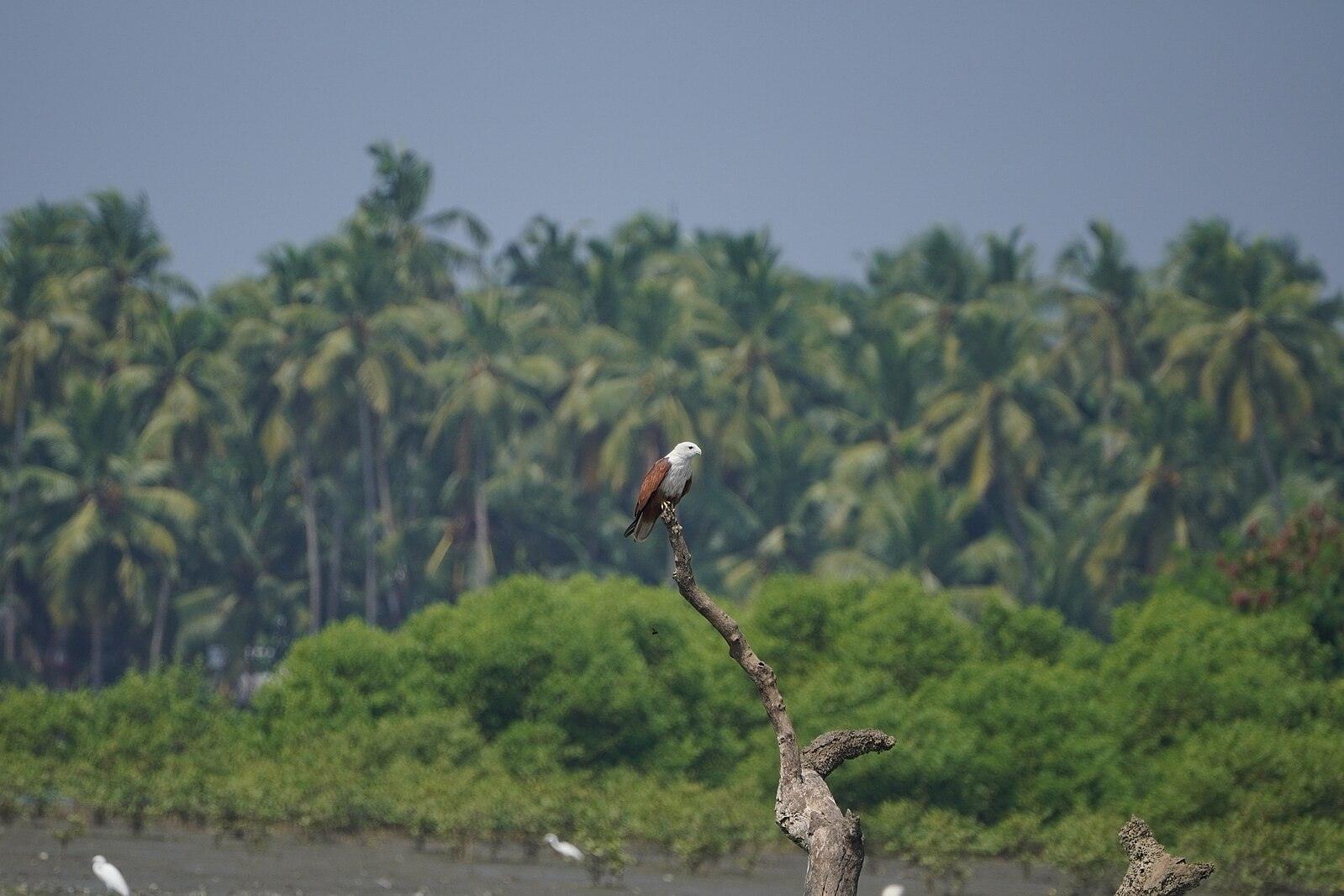 Don't Miss the Best Places to Visit in Kozhikode - StayVista Journal