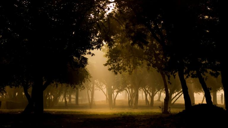 Mumbai to Goa RoRo Service Launching in 2025: All You Need to Know ...