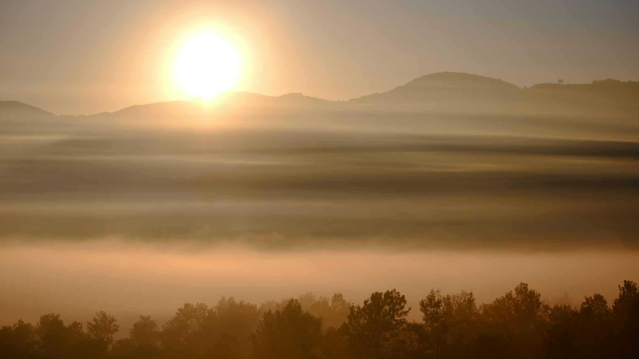 Discover Snowfall in South India: A Guide to Lambasingi - StayVista Journal