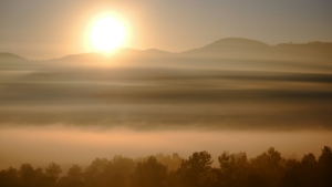 Discover Snowfall in South India: A Guide to Lambasingi - StayVista Journal