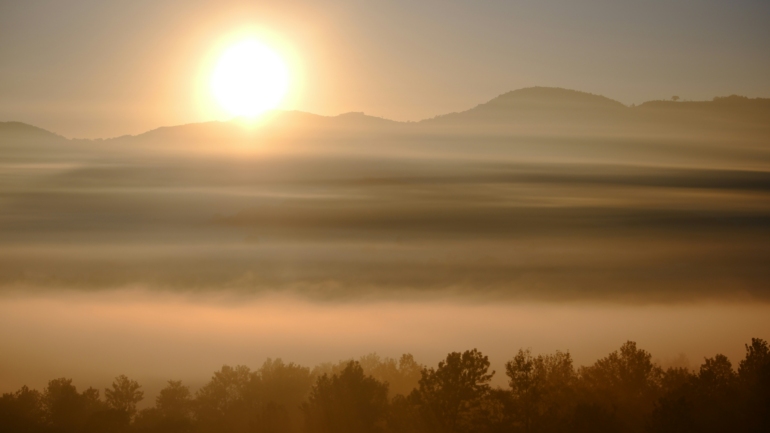 Discover Snowfall in South India: A Guide to Lambasingi - StayVista Journal