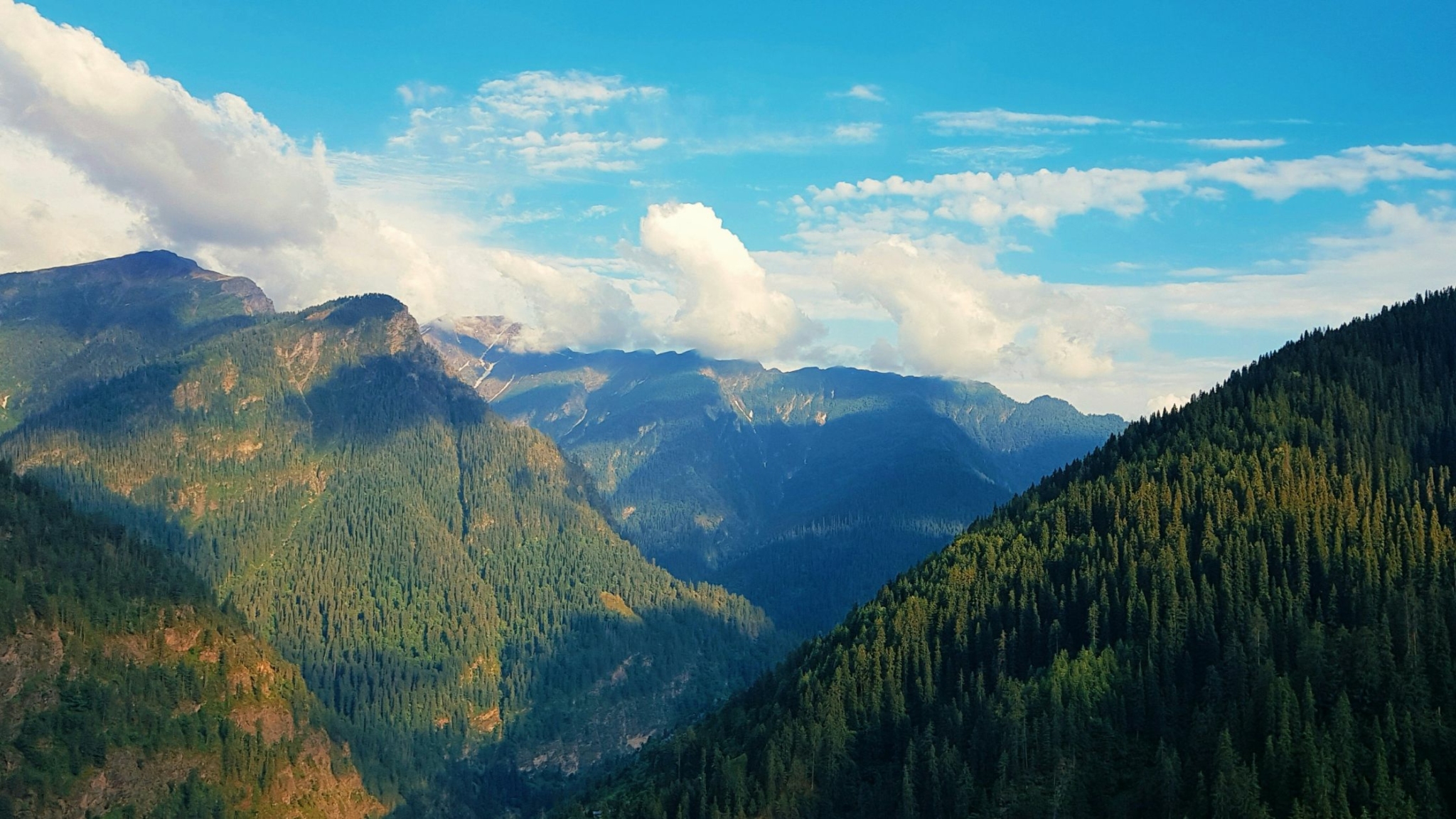 Places to Visit in Palampur: A Paradise in Himachal Pradesh - StayVista ...