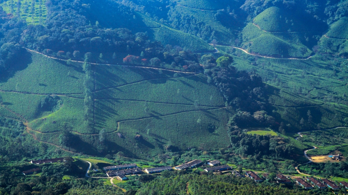 A Complete Guide to Visiting Eravikulam National Park in Kerala ...