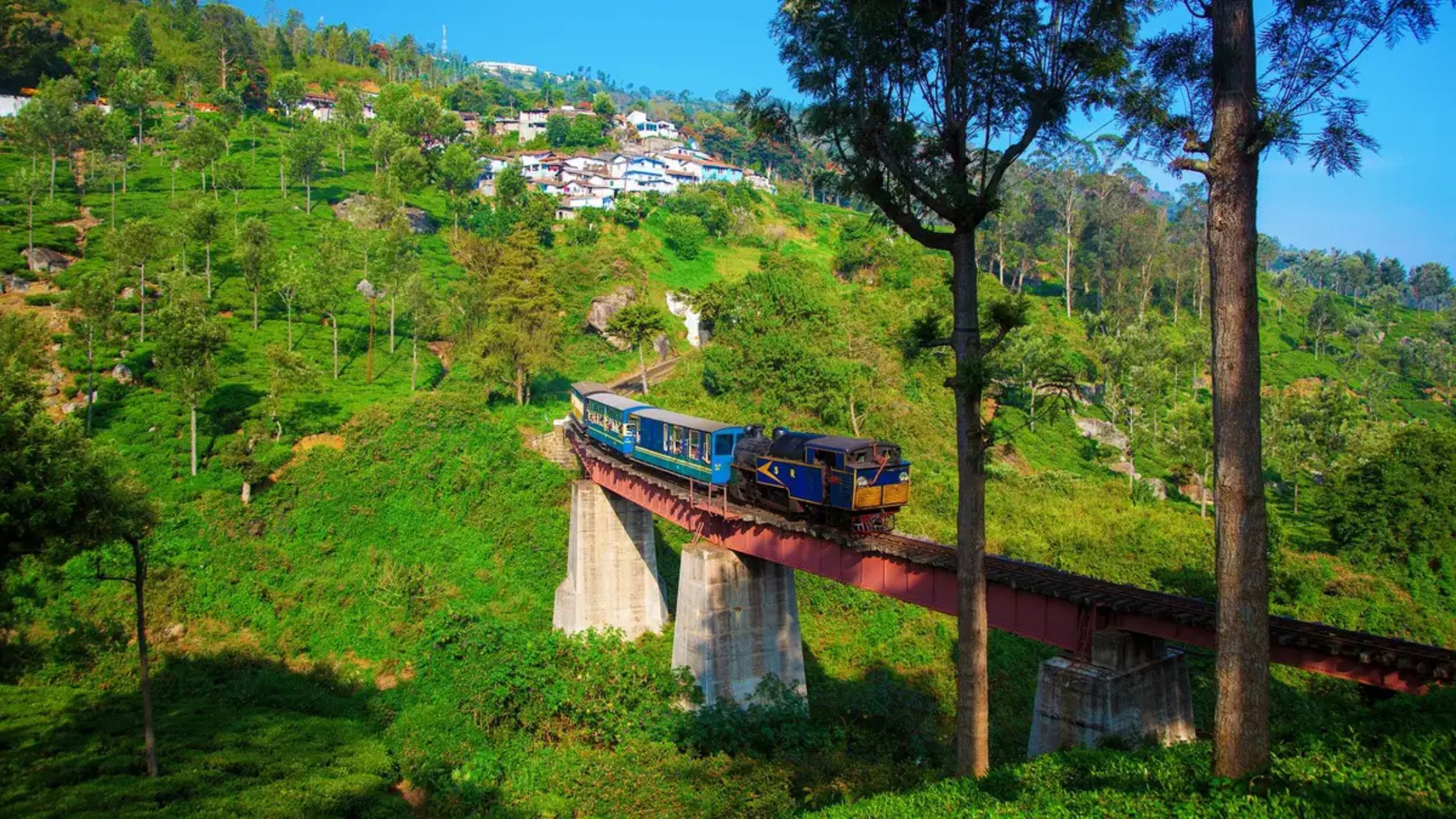 Toy Train in Ooty: Everything You Need to Know Guide - StayVista Journal