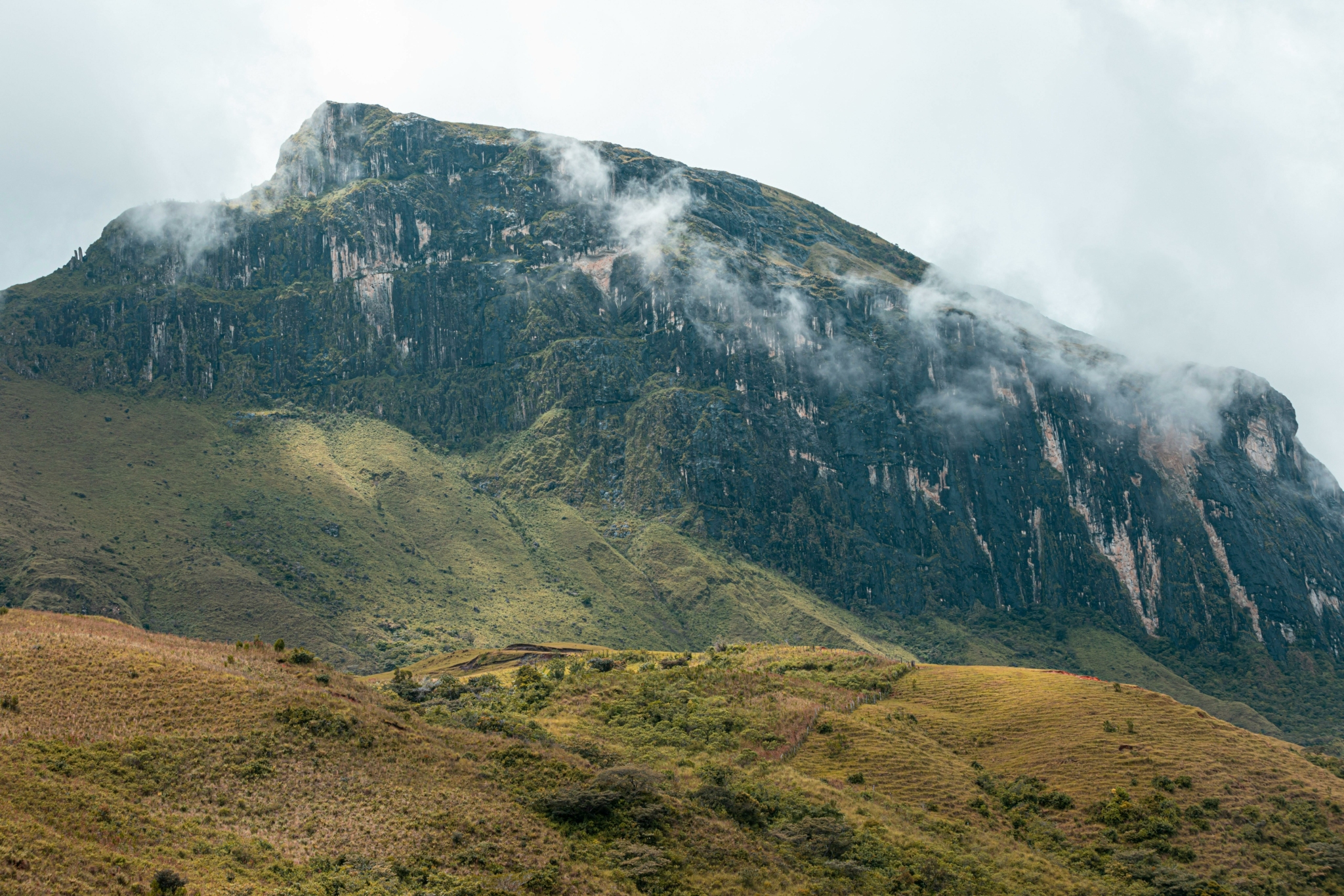 How to visit Anamudi in Kerala: Highest Mountain Peak in South India ...