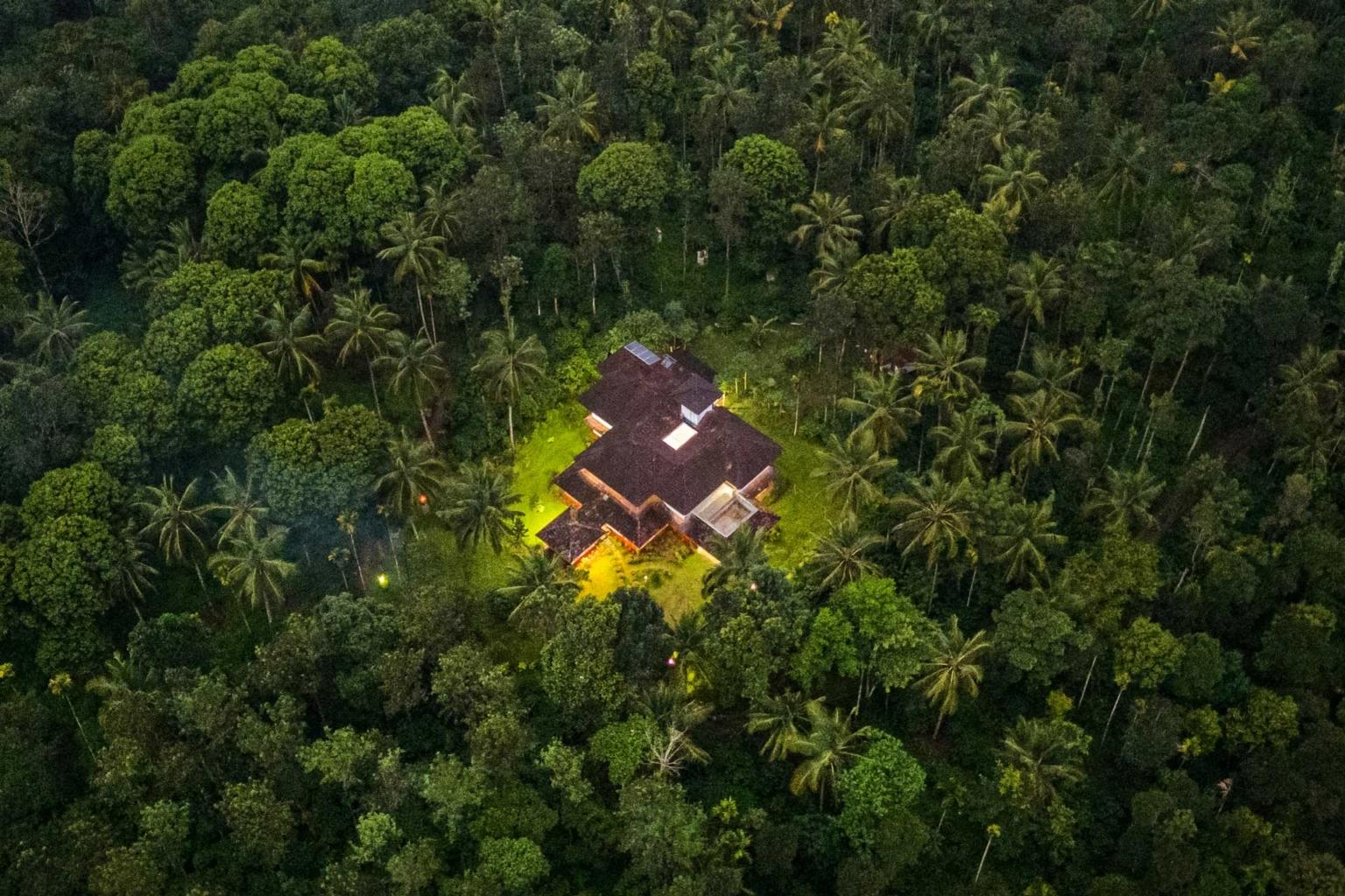 What’s the Best Time to Visit Wayanad? A Month-by-Month Weather Guide ...