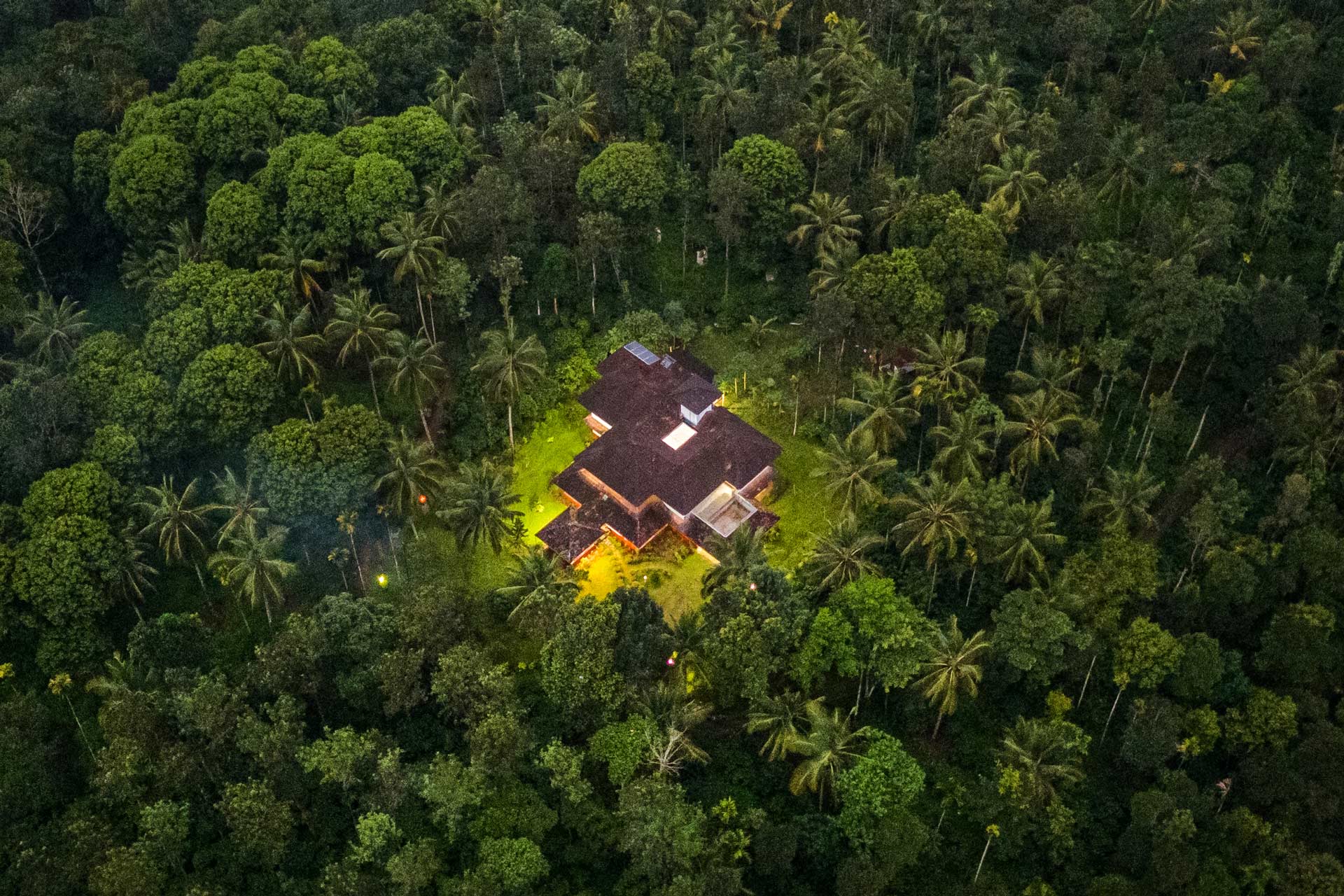 What’s the Best Time to Visit Wayanad? A Month-by-Month Weather Guide ...