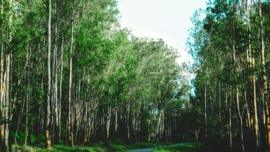 M2M Ferries Mumbai to Goa Ferry Launch (Updated 2026 Info)- StayVista ...